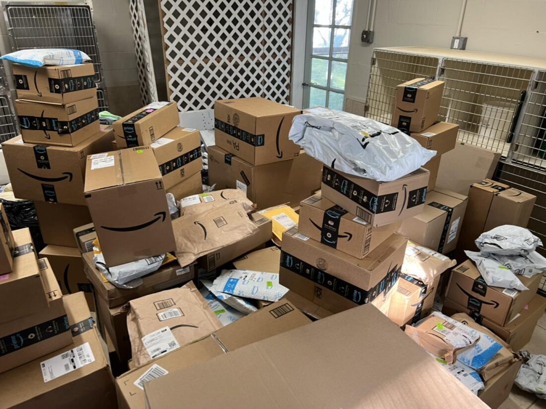 CROW moves into temporary clinic, admits first patient - SANIBEL ...